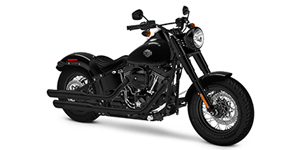 2017 Harley-Davidson FLSS Softail Slim S Options and Equipment