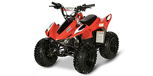 2023 Kayo USA AY70 / Fox Options and Equipment