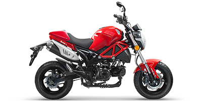 2017 SSR Motorsports SRT125-RAZKULL - 125cc Prices and Values | JD Power